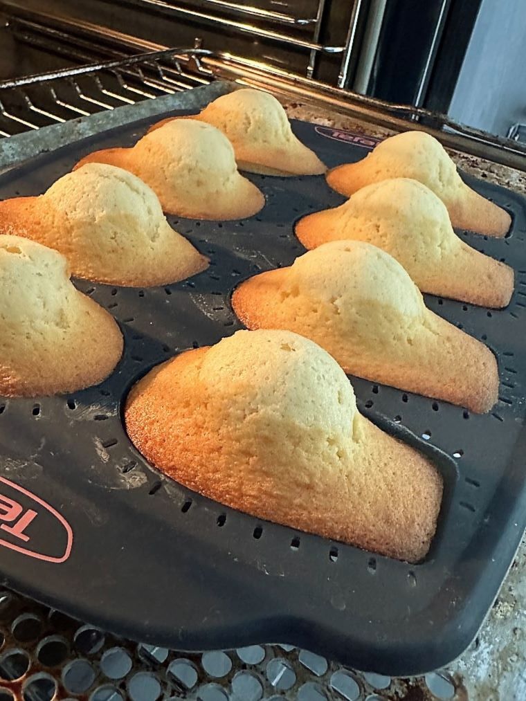 Madeleines enrobées de chocolat - recette pour le goûter